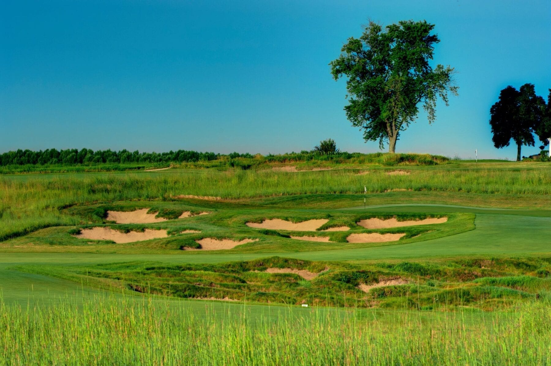 Black Sheep Golf Club In Sugar Grove Illinois